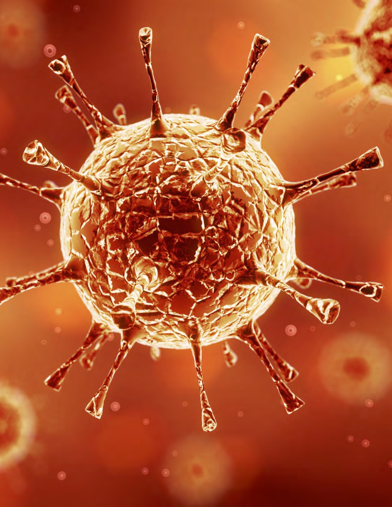 Hoe versterk je snel je immuunsysteem tegen virussen?